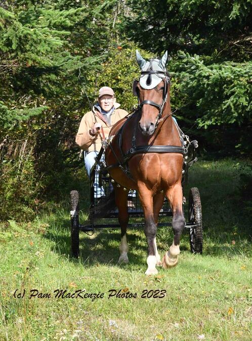 Ronald MacKenzie Obituary - Truro, NS | Colchester Community Funeral Home